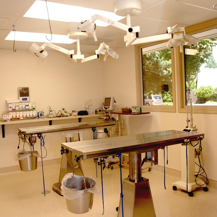 Our Hospital | Aloha Dog & Cat Hospital