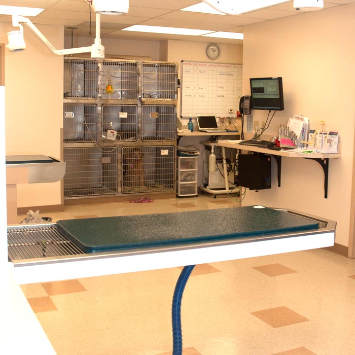 Our Hospital | Aloha Dog & Cat Hospital